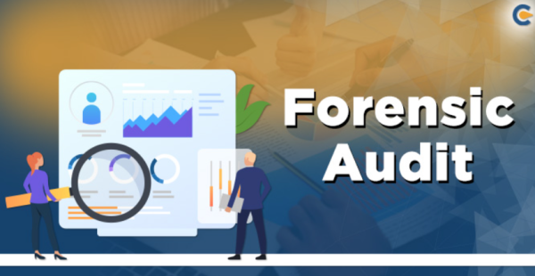 FORENSIC AUDIT SERVICES